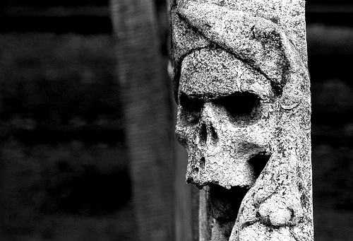 Thanatology | VampCat Wiki | Fandom