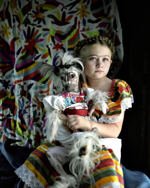 Animal Affinity | VampCat Wiki | Fandom