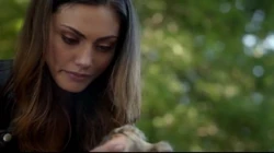 Hayley Marshall-Kenner | Wiki Vampire Diaries | Fandom