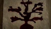 Sangue | Wiki Vampire Diaries | Fandom