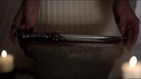 Bruxa | Wiki Vampire Diaries | Fandom