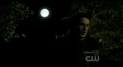 Tyler Lockwood | Wiki Vampire Diaries | Fandom
