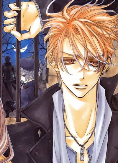 Akatsuki Kain | Vampire Knight Wiki | Fandom