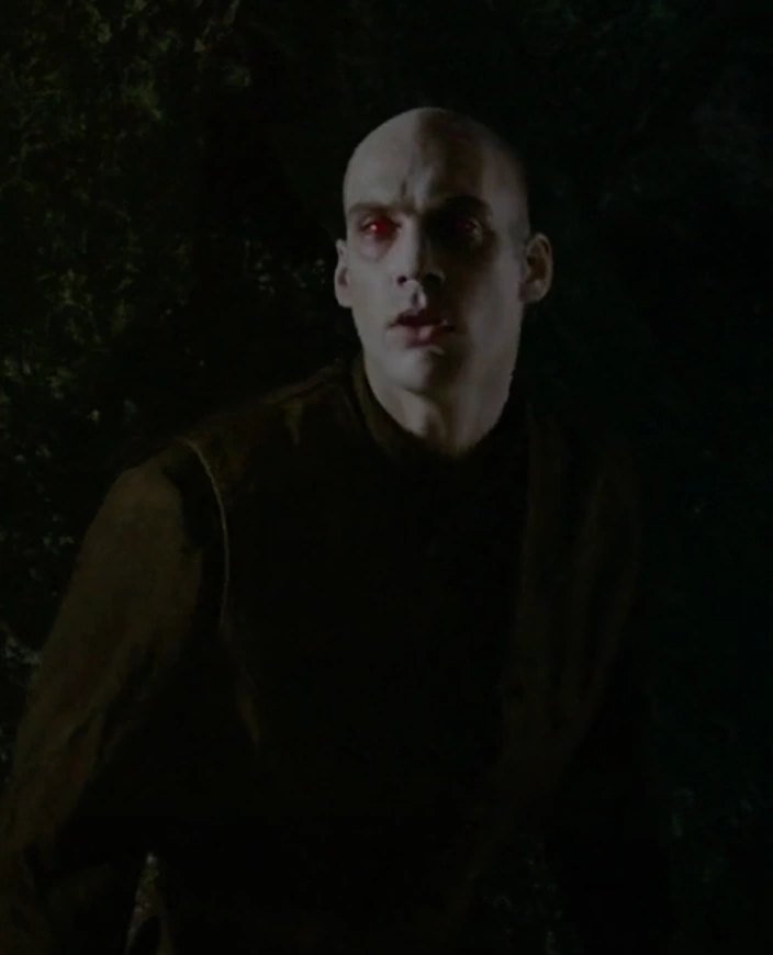 Cave Strigoi | Vampire Academy Series Wiki | Fandom