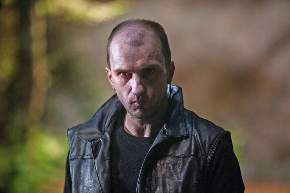 Strigoi | Vampire Academy Series Wiki | Fandom