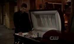 Elijah Mikaelson | The Vampire Diaries Wiki | Fandom