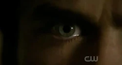 Compulsion Vampire Diaries