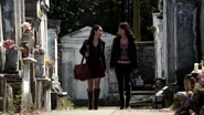 Deveraux Family | The Vampire Diaries Wiki | Fandom