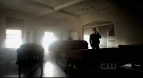 Die Homecoming-Party | Vampire Diaries Wiki | Fandom