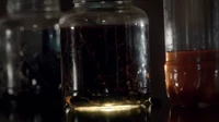 Werewolf Venom | The Vampire Diaries Wiki | Fandom