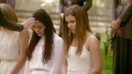 Deveraux Family | The Vampire Diaries Wiki | Fandom