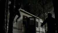 Jules' Pack | The Vampire Diaries Wiki | Fandom