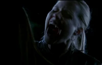 Emotions | The Vampire Diaries Wiki | Fandom