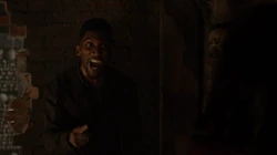 Finn Mikaelson | The Vampire Diaries Wiki | Fandom