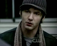 Jules' Pack | The Vampire Diaries Wiki | Fandom