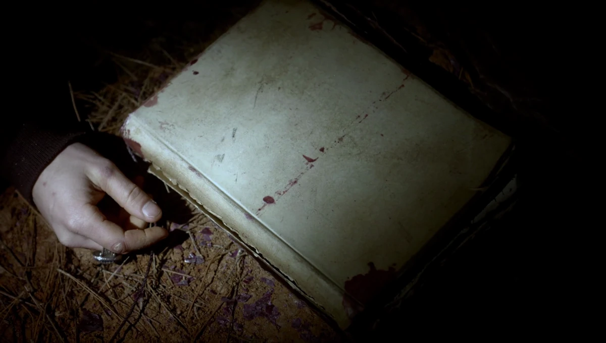 Emily's Grimoire | The Vampire Diaries Wiki | Fandom