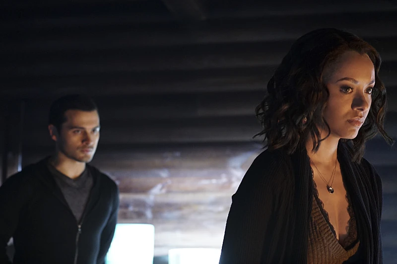 Somebody That I Used to Know | Wiki Vampirediaries | Fandom