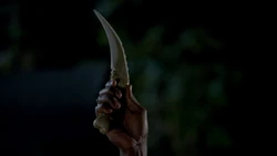 Dark Objects | The Vampire Diaries Wiki | Fandom