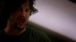 Jackson Kenner | The Vampire Diaries Wiki | Fandom