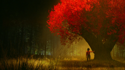 Red Oak Tree | The Vampire Diaries Wiki | Fandom
