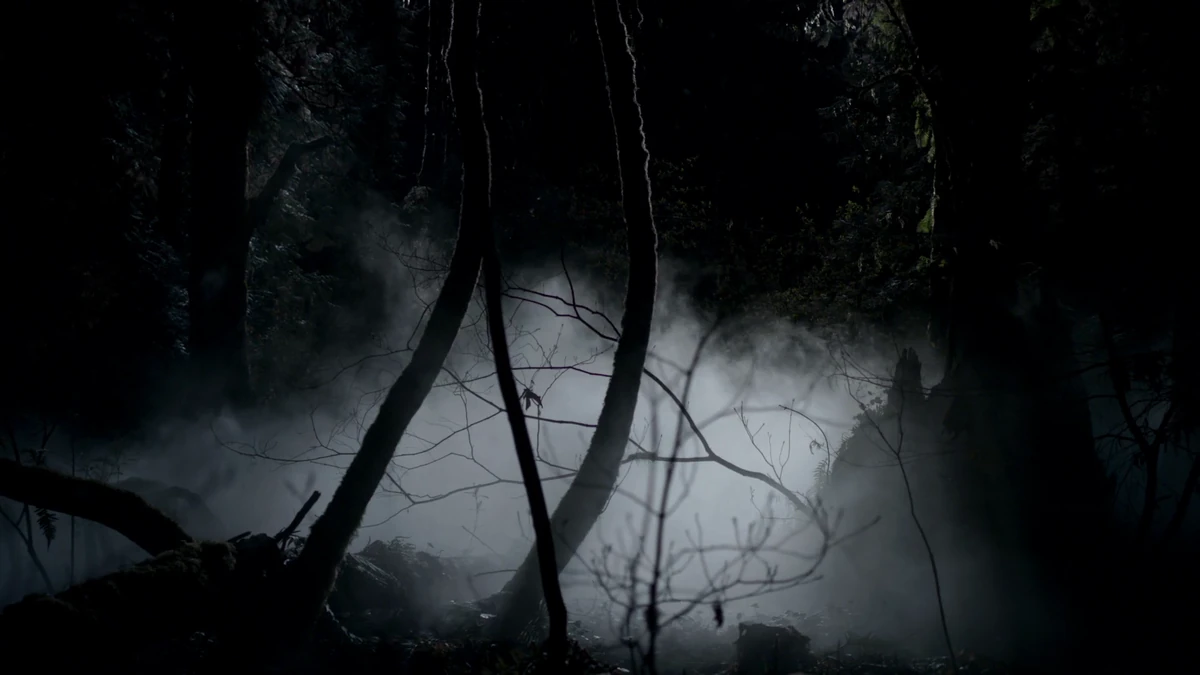 Previously on The Vampire Diaries | The Vampire Diaries Wiki | Fandom