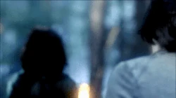 Dimensions | The Vampire Diaries Wiki | Fandom