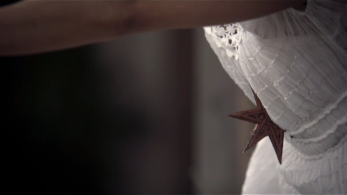 The Devil's Star | The Vampire Diaries Wiki | Fandom