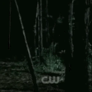 Discuss Everything About The Vampire Diaries Wiki | Fandom