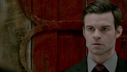 Elijah Mikaelson | The Vampire Diaries Wiki | Fandom