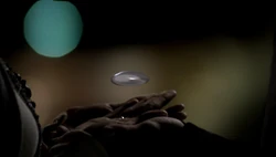 Talismans | The Vampire Diaries Wiki | Fandom