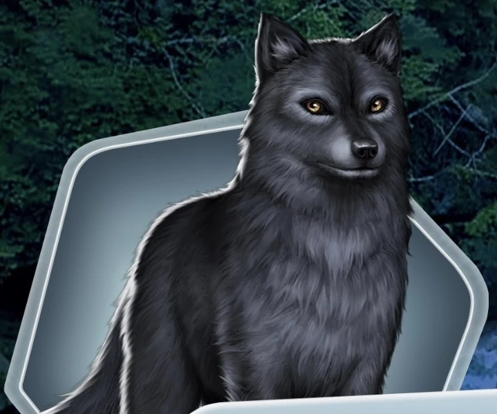 Selene (Werewolf) | Vampire Diaries Fanon Wiki | Fandom