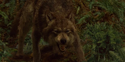 Ultimate Werewolves | Vampire Diaries Fanon Wiki | Fandom