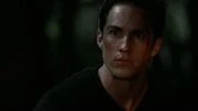 Werewolf | Vampire Diaries Fanon Wiki | Fandom