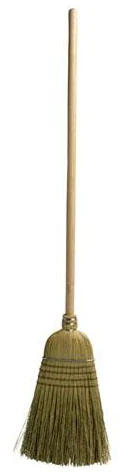 Broomstick | Vampire Diaries Wiki | Fandom