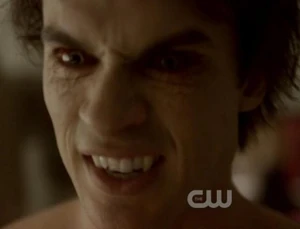 Vampire | Vampire Diaries Wiki | Fandom