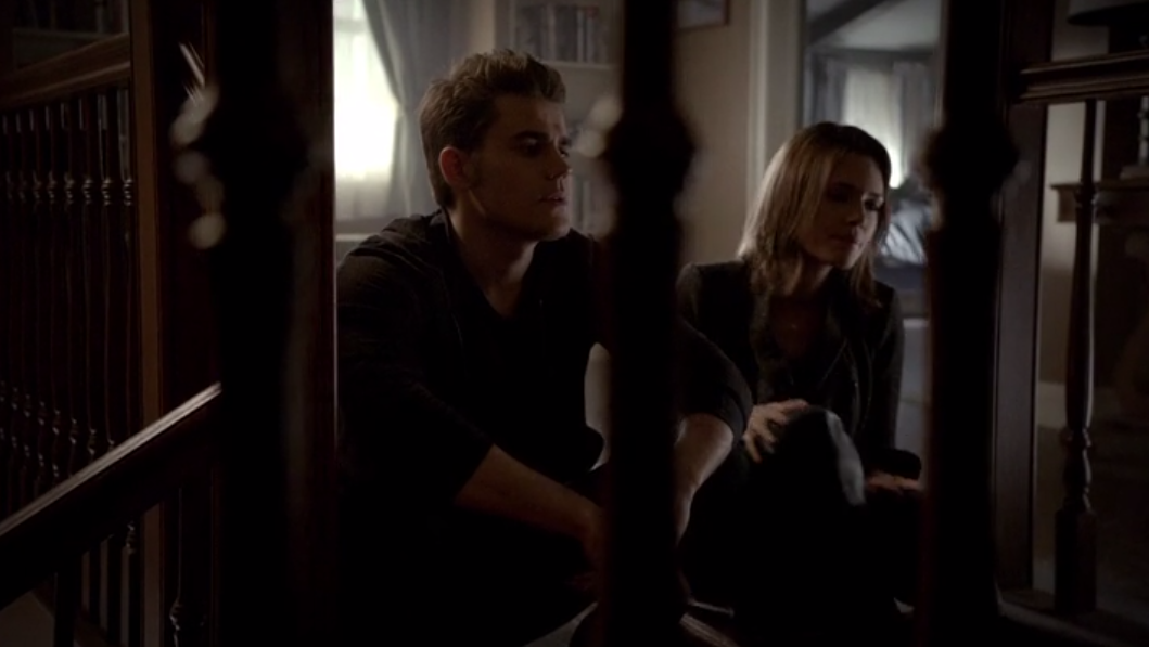 Stefan And Meredith Wiki Vampire Diaries France Fandom