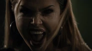 Lexi Branson | Wiki Vampire Diaries France | Fandom
