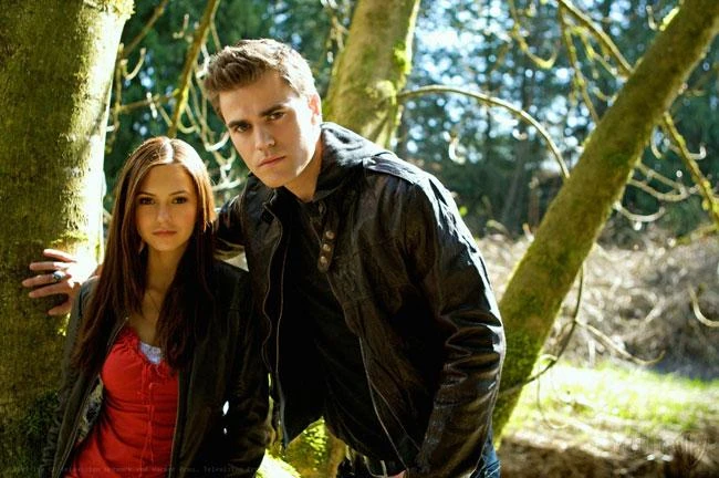 Discussion:Wiki Vampire Diaries France | Wiki Vampire Diaries France | Fandom