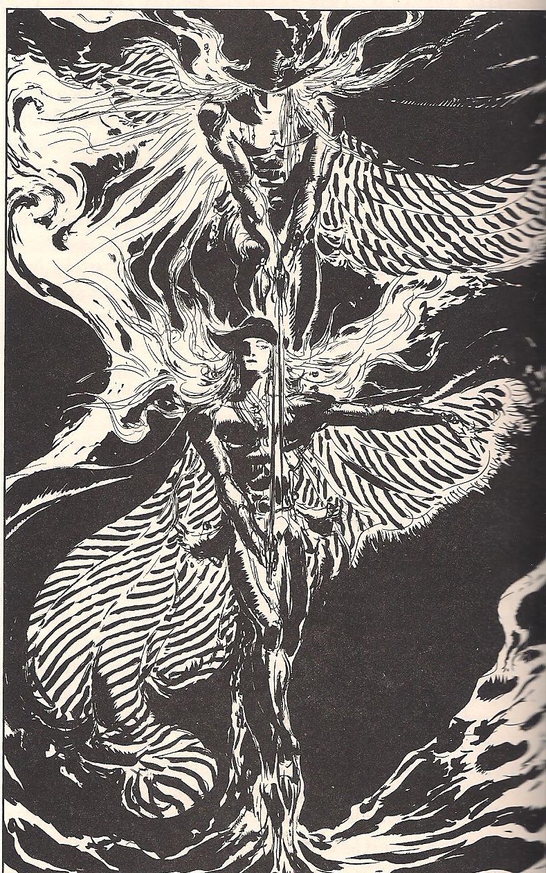 D (Twin) | Vampire Hunter D Wiki | Fandom