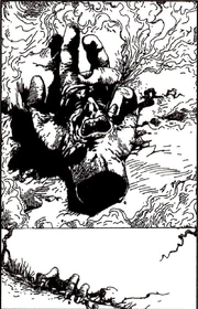 Success or Failure | Vampire Hunter D Wiki | Fandom