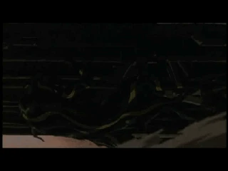 Transmutation Form | Vampire Hunter D Wiki | Fandom