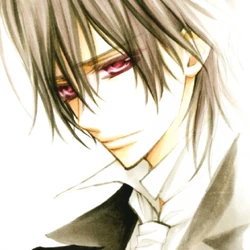 vampire knight levels