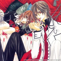 vampire knight levels
