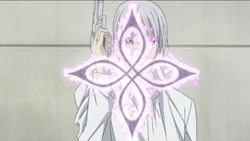 Bloody Rose Vampire Knight