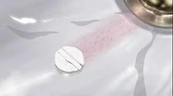 Blood Tablets | Vampire Knight Wiki | Fandom