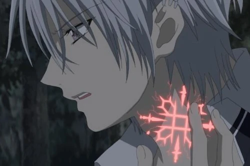 Episode 5: Moonlight Festivities | Vampire Knight Wiki | Fandom