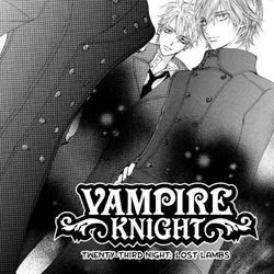 vampire knight levels