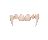 Fangs | Vampedia | Fandom