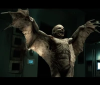 Bat | Vampedia | Fandom