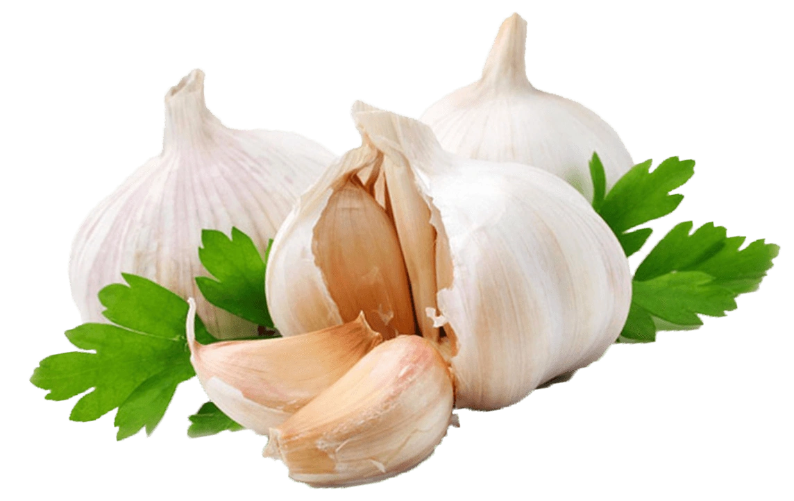 Garlic | Vampedia | Fandom